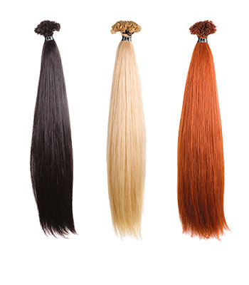 Start | Toupema Belgal